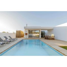 Swimming pool Pegasus 800